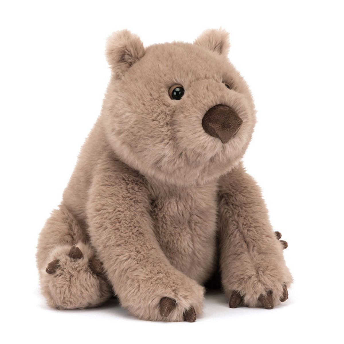 Jellycat Wonda Wombat Medium Stuffed Plush Toy – Black Wagon Kids